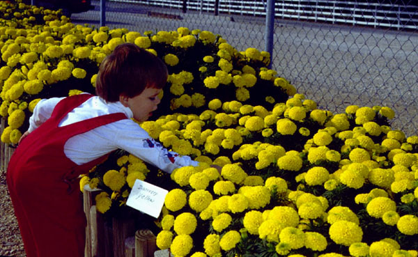 MARI-MUM - Texas Superstar® Plants