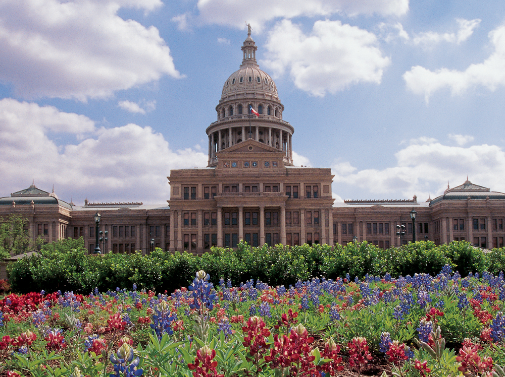 TEXAS MAROON BLUEBONNET - Texas Superstar® Plants